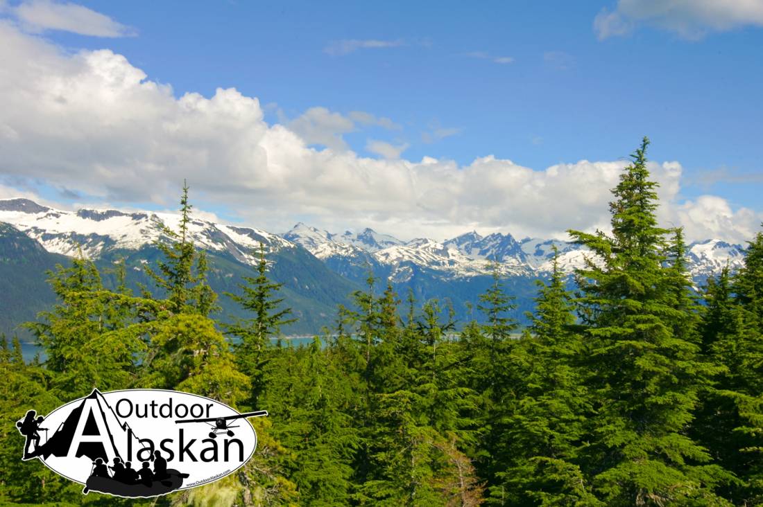 Mount Ripinski, Alaska - Alaska Guide
